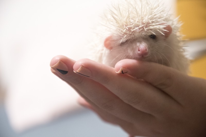 Marta Ochoa foto y vídeo
