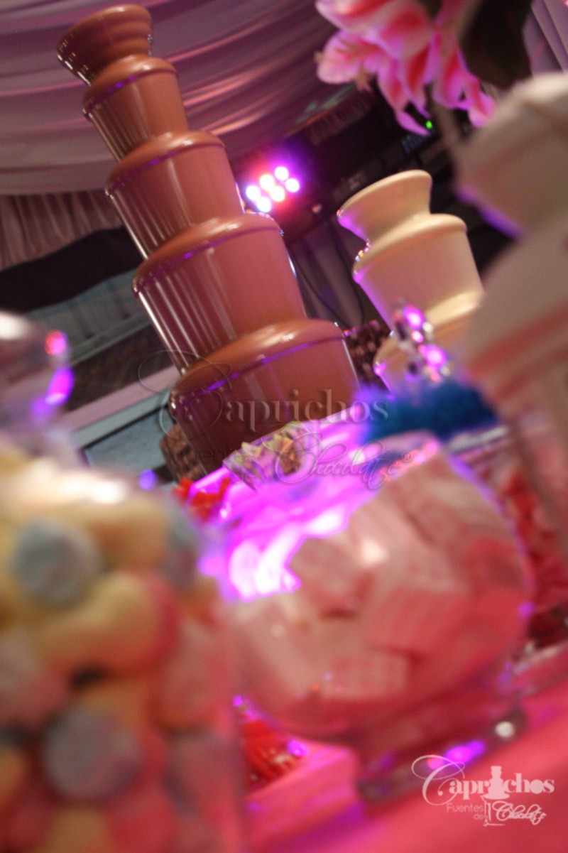 Caprichos de chocolate