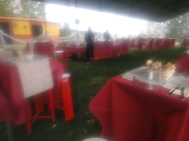 Olé eventos