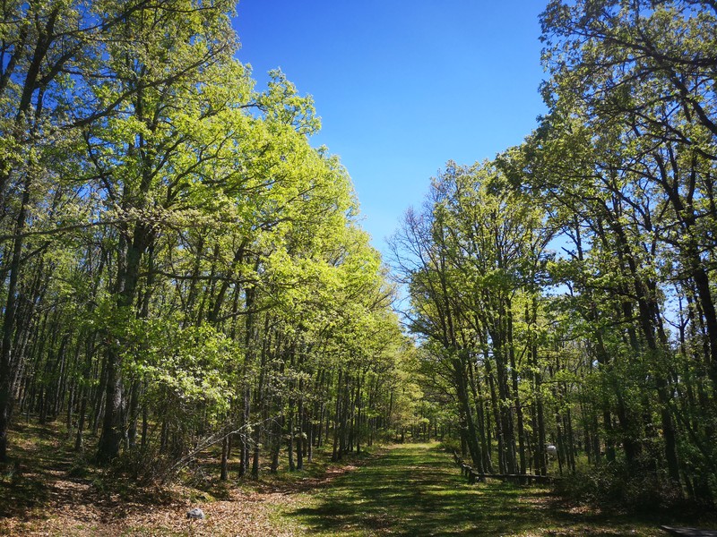 Espacio Natural Creabiosfera